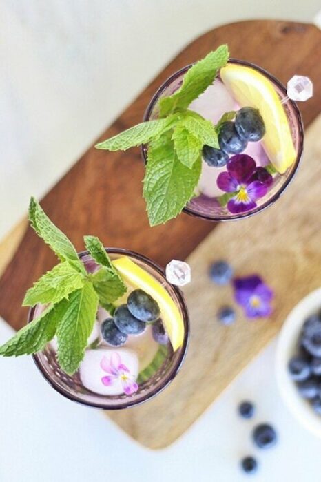 Cocktail Recipe of the Month: Blueberry-Lemon Mint Mojitos - River Landing